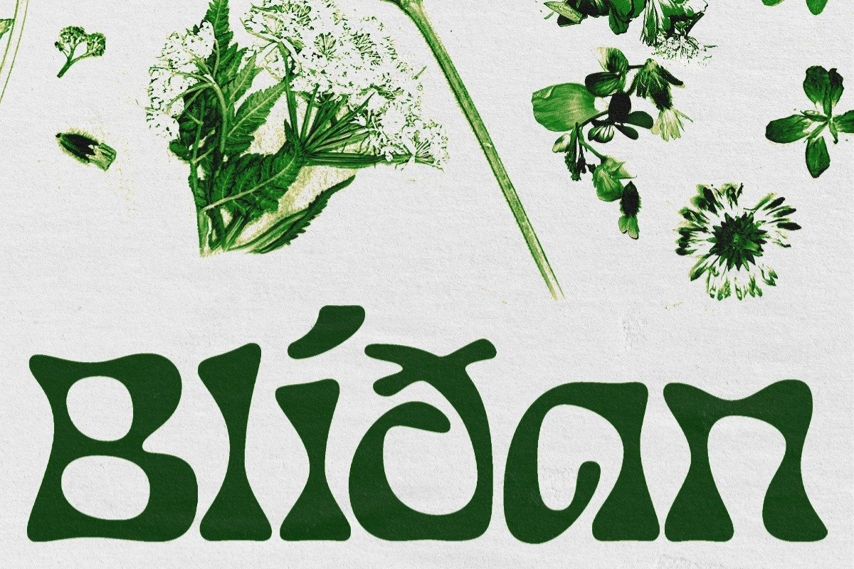 Blíðan - Smiðjuhátíð Lýðskólans á Flateyri | Ísafjarðarbær